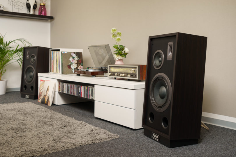 Magnat Transpuls 1000 – Leistungsstarker Spaßmacher im Vintage-Look ...